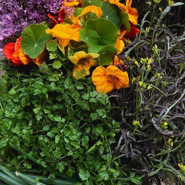 Pavāru māja Līgatnē